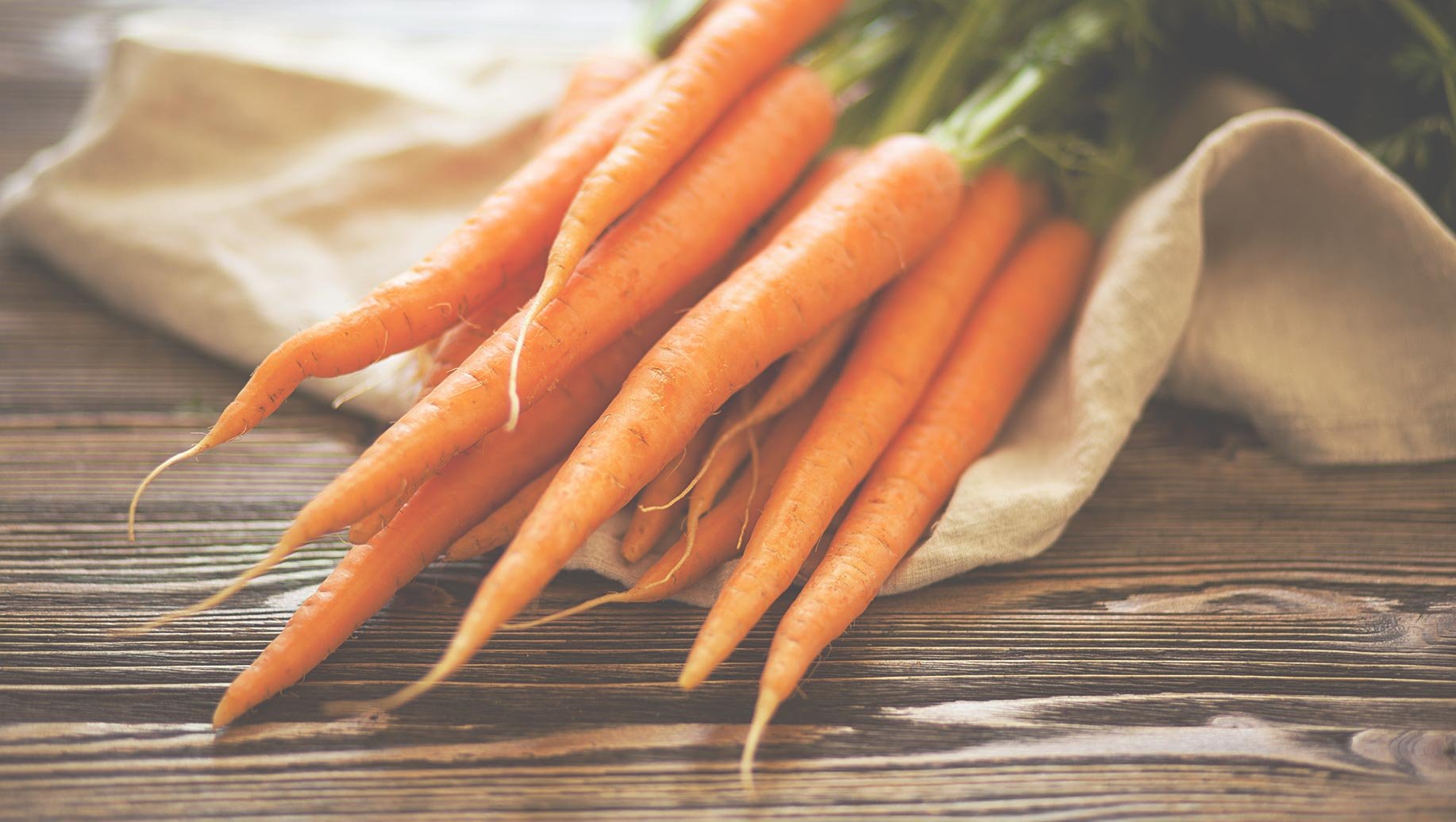 What's The Best Incentive Program For Insurance Agents? | EverQuote